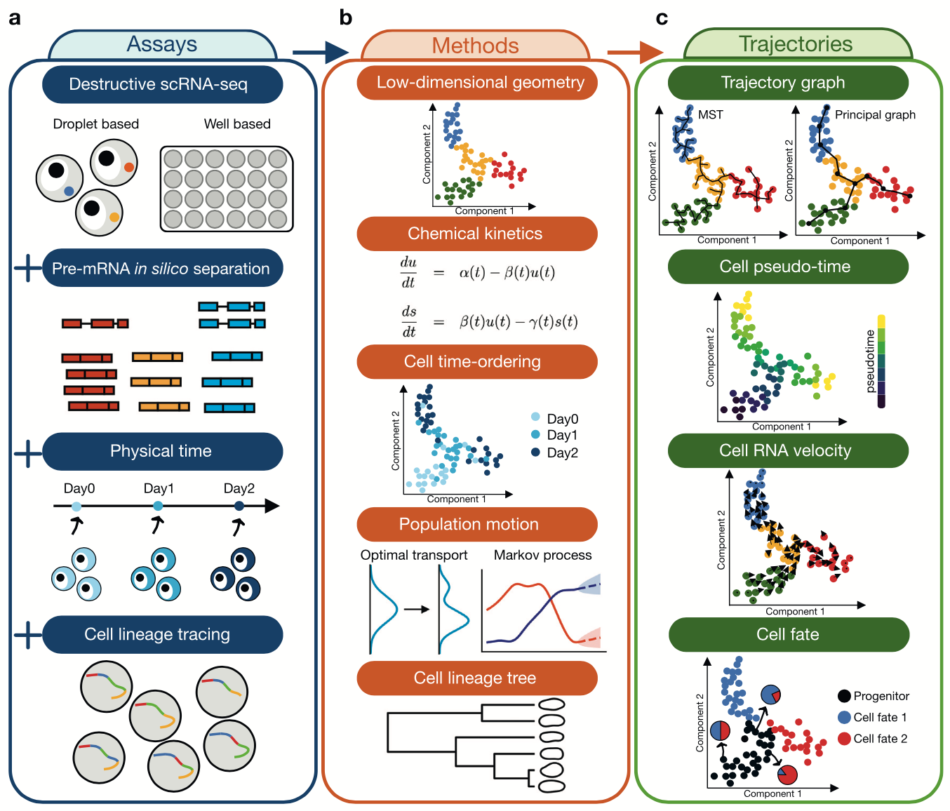 Current progress and potential opportunities to infer single-cell ...