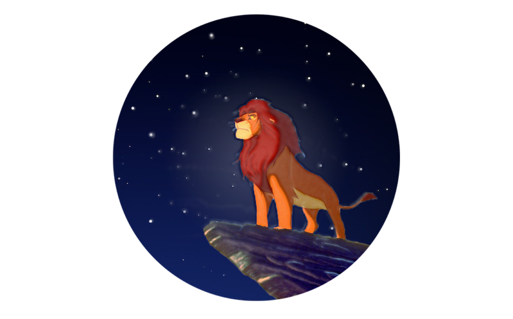 SIMBA | Huidong Chen